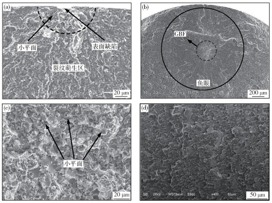 应力比对TC4钛合金超高周疲劳失效机理的影响