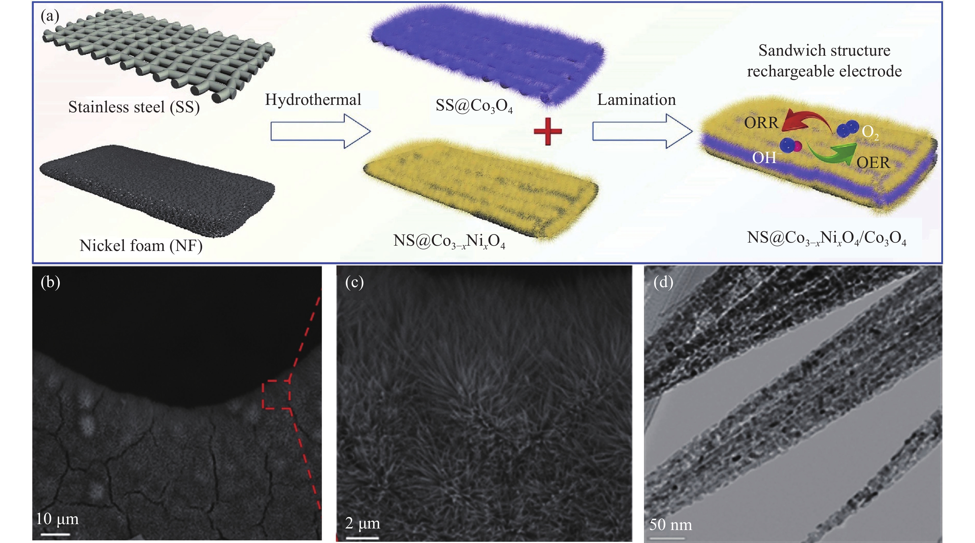 高性能自支撑氧催化电极基底材料的研究进展