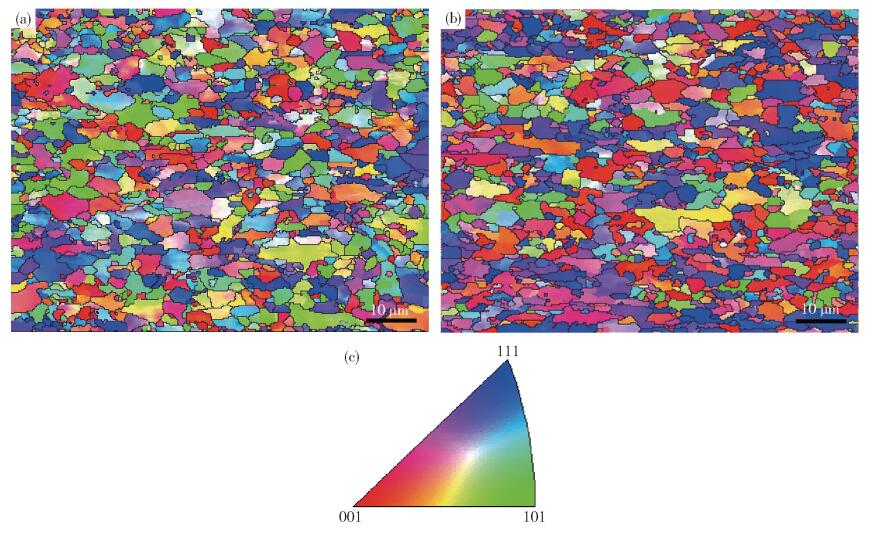 终轧温度对600 MPa级高钛高成型性铁素体-珠光体酸洗带钢组织与织构的影响