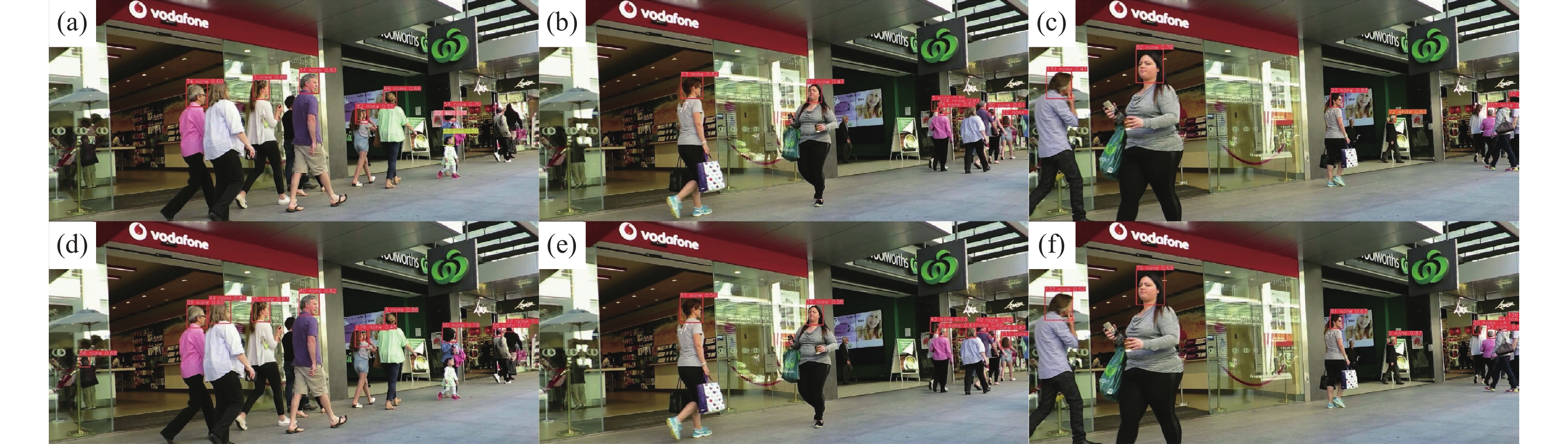 DS-YOLOv5：一种实时的安全帽佩戴检测与识别模型