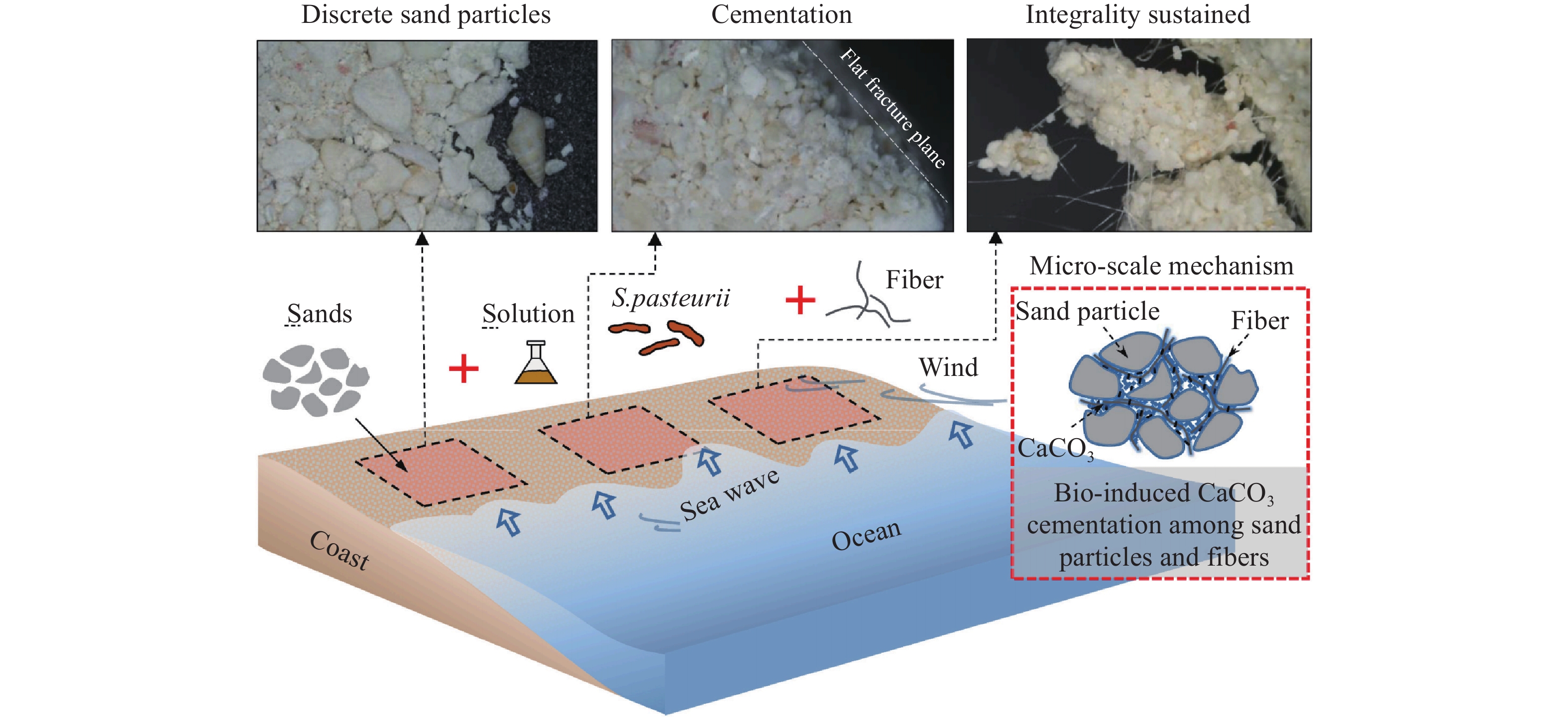 岛礁工程MICP加固技术研究进展